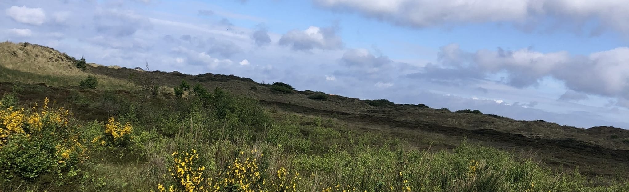 Midsland Noord - Landerumerheide - West aan Zee | Map, Guide ...