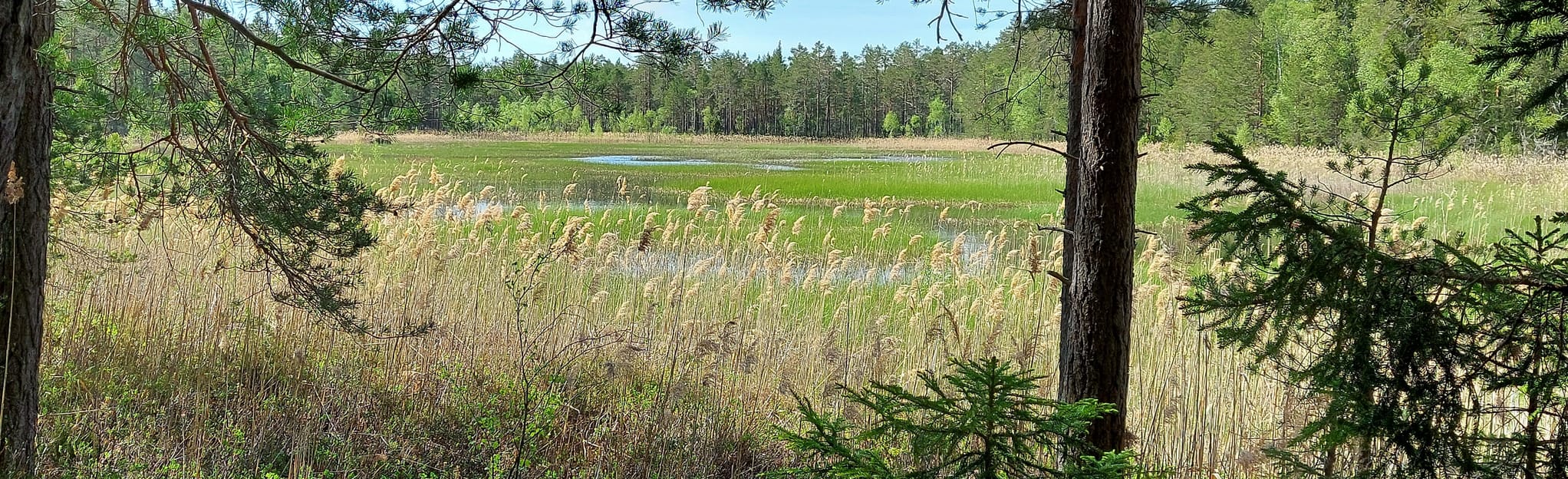 Van Hemlingby naar Kubbo via de Gästrikeleden: 11 foto's - Gävleborgs ...
