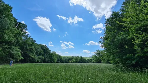 10 Best Trails and Hikes in Vienna | AllTrails