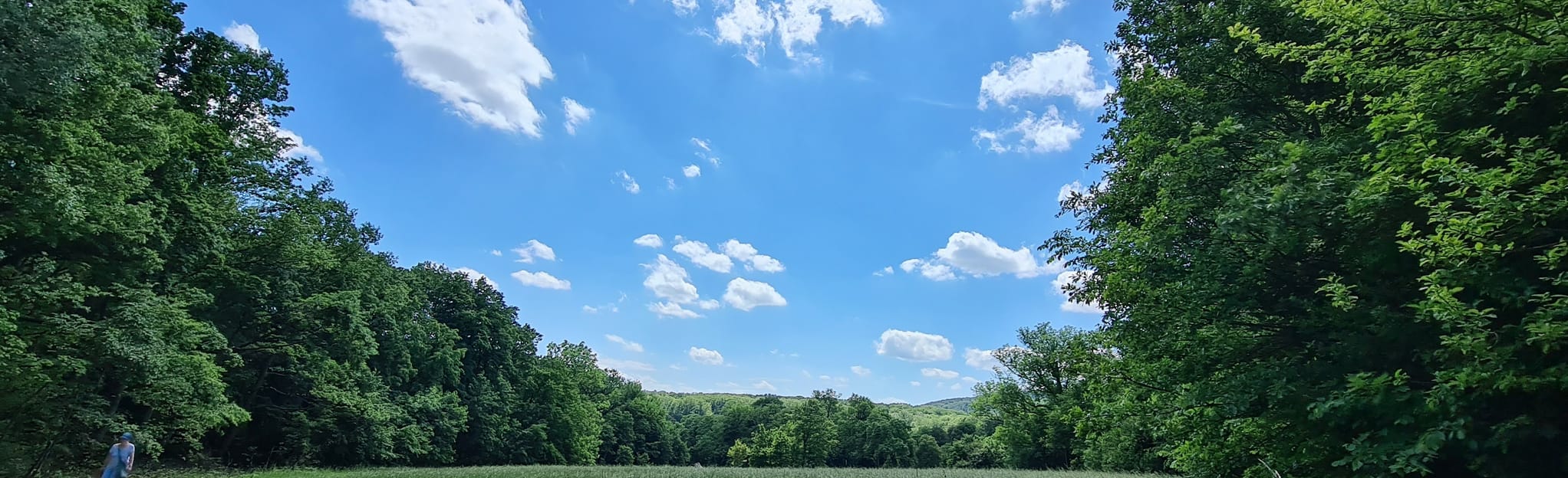 Vienna City Hiking Trail 3, Vienna, Austria - 120 Reviews, Map | AllTrails