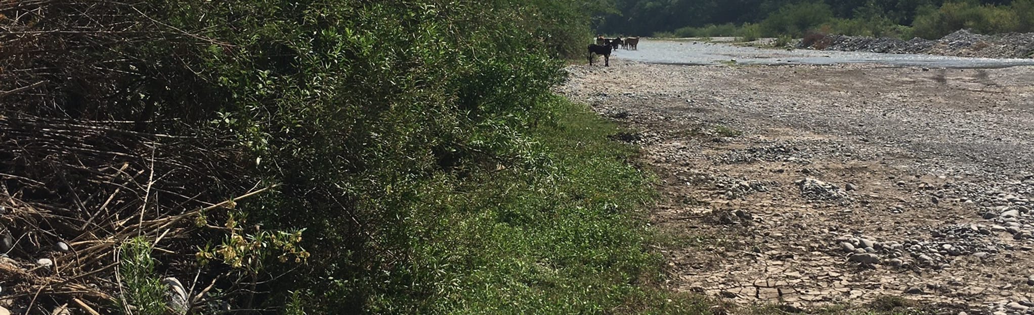 Rio Pilón: 1 Reviews, Map - Nuevo León, Mexico | AllTrails