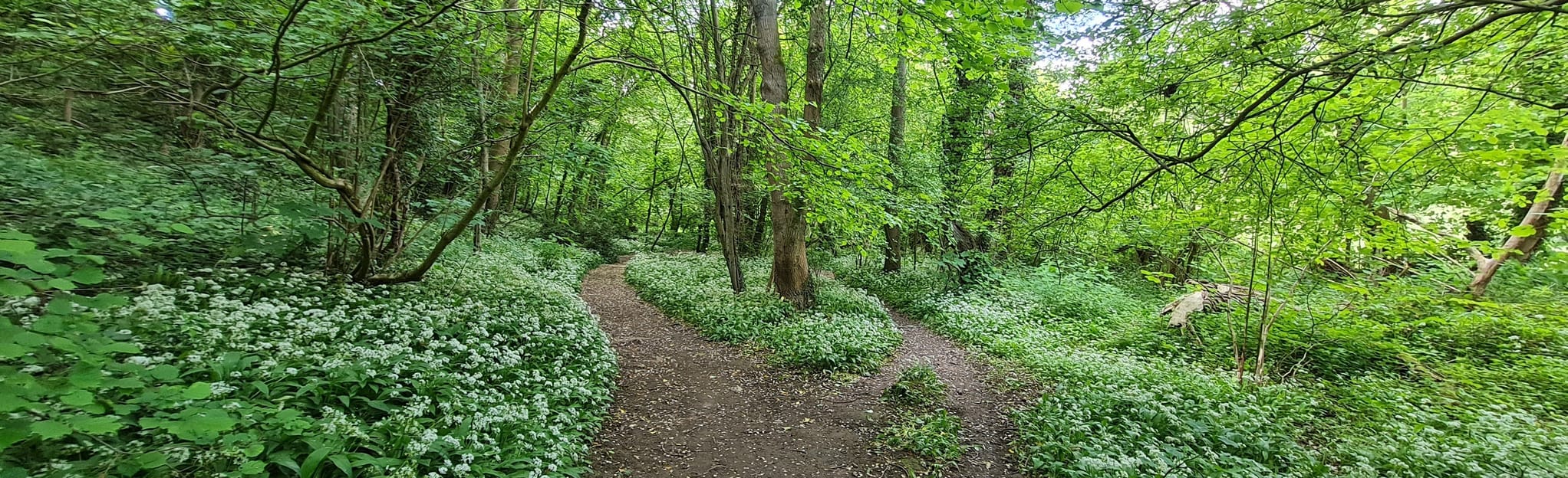 Pleasley Vale Circular, Nottinghamshire, England - 120 Reviews, Map ...