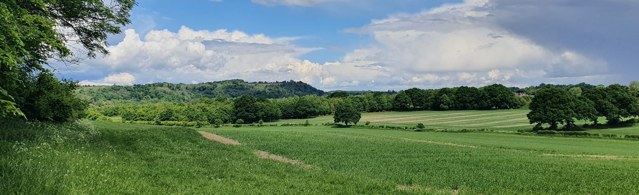 Froxfield and Hawkley Circular, Hampshire, England - 42 Reviews, Map ...