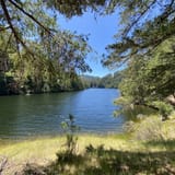 Bon Tempe Lake and Cataract Falls Loop Trail, California - 404 Reviews ...