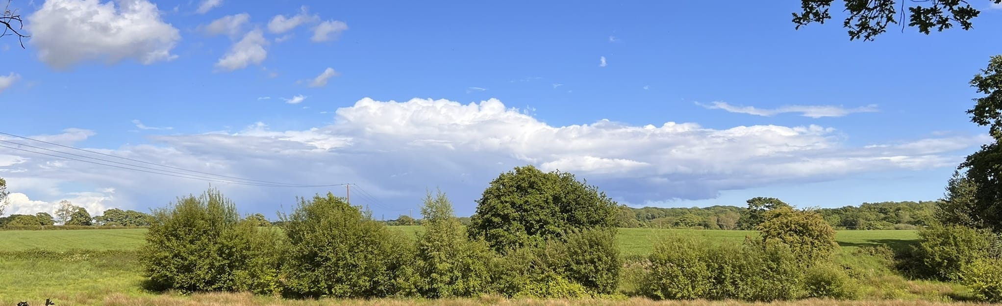 Southwick Golf Course, Hampshire, England - 38 Reviews, Map | AllTrails