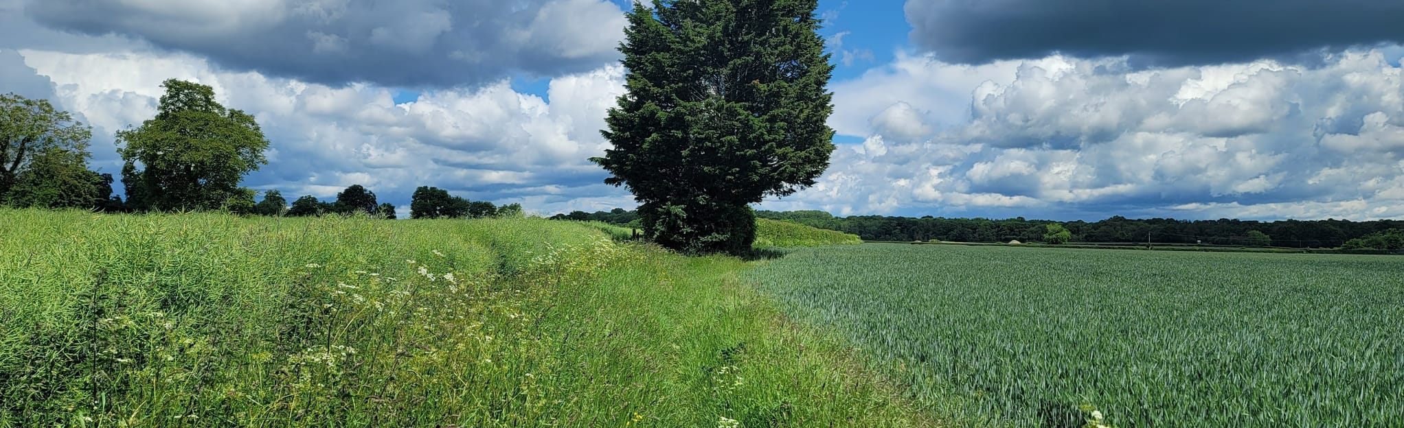 Cookham Dean Circular: 92 Reviews, Map - Berkshire, England | AllTrails