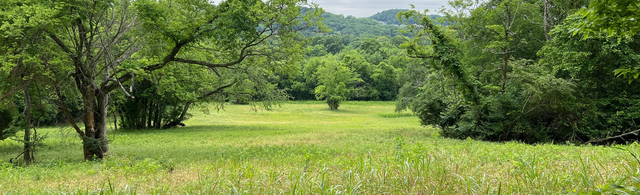 Edwin Warner Loop, Tennessee - 699 Reviews, Map | AllTrails