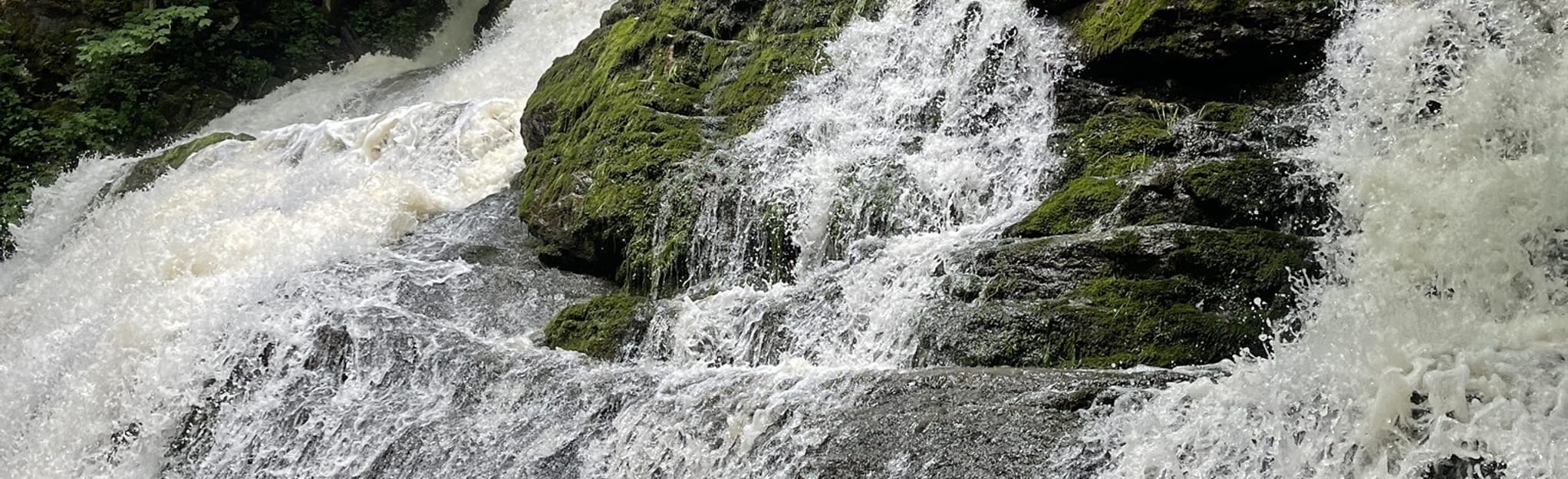 Logan Creek Falls | Map, Guide - Virginia | AllTrails