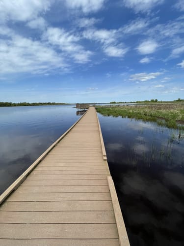 Best Hikes and Trails in Necedah National Wildlife Refuge | AllTrails