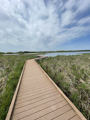 Best Hikes and Trails in Necedah National Wildlife Refuge | AllTrails