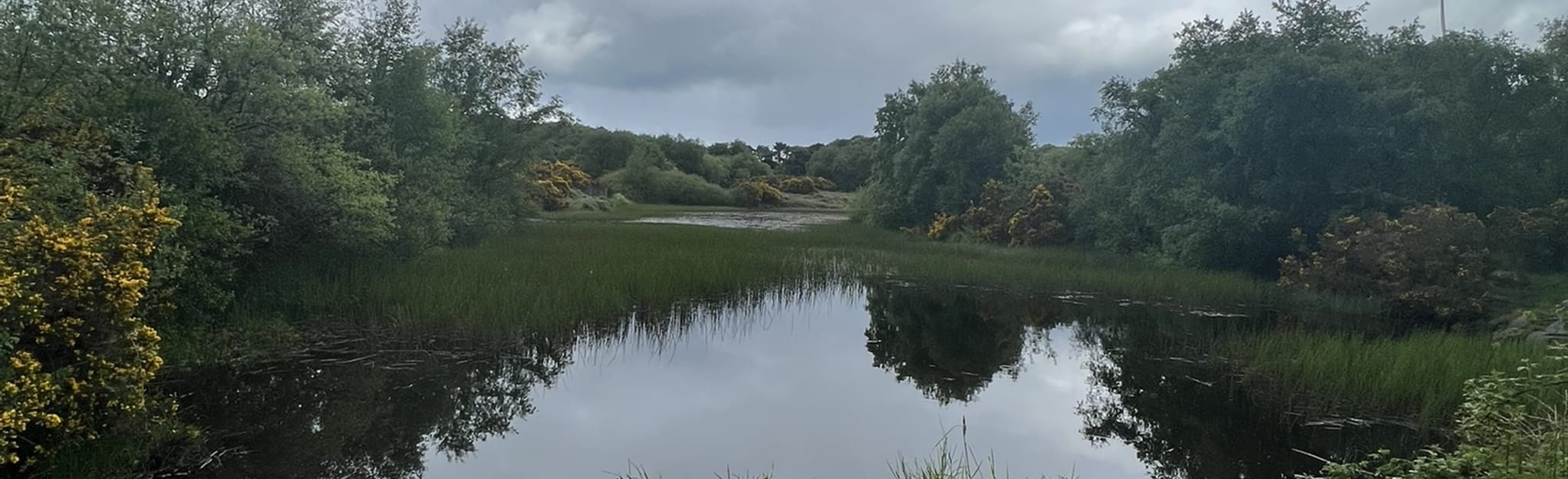Windmill Stump and Corry's Craig Circular - Down, Northern Ireland ...
