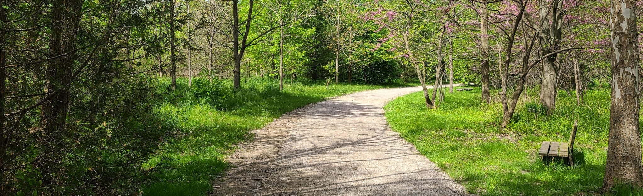 Trees Loop: 30 Reviews, Map - Ontario, Canada | AllTrails