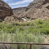 Virgin River Trail, Utah - 196 Reviews, Map | AllTrails