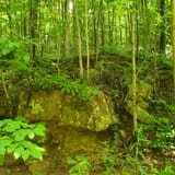 Windrock OHV Trail, Tennessee - 48 Reviews, Map | AllTrails