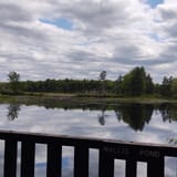 Douglas Forest Wallis Pond Loop Trail, Massachusetts - 685 Reviews, Map ...