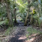 Bulow Woods Hiking Trail, Florida - 214 Reviews, Map | AllTrails