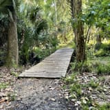 Bulow Woods Hiking Trail, Florida - 214 Reviews, Map | AllTrails