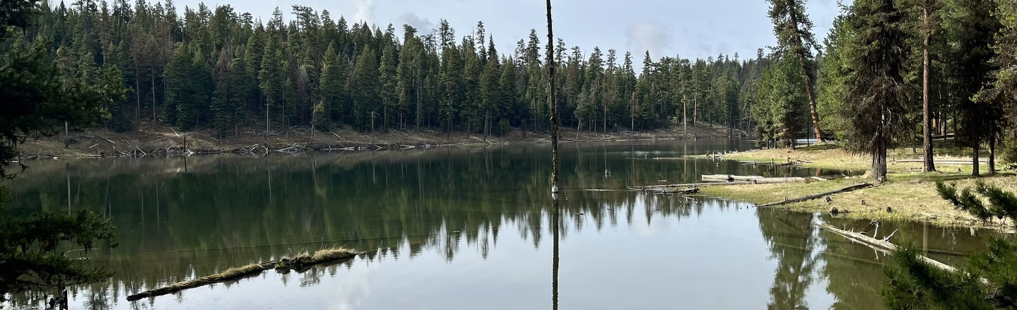 Magone Lake Trail - Oregon | AllTrails
