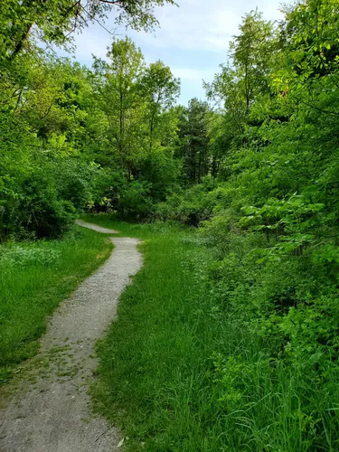 Best Hikes and Trails in Maple Grove Park | AllTrails