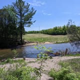 Boardman/Ottaway River Trail, Michigan - 309 Reviews, Map | AllTrails