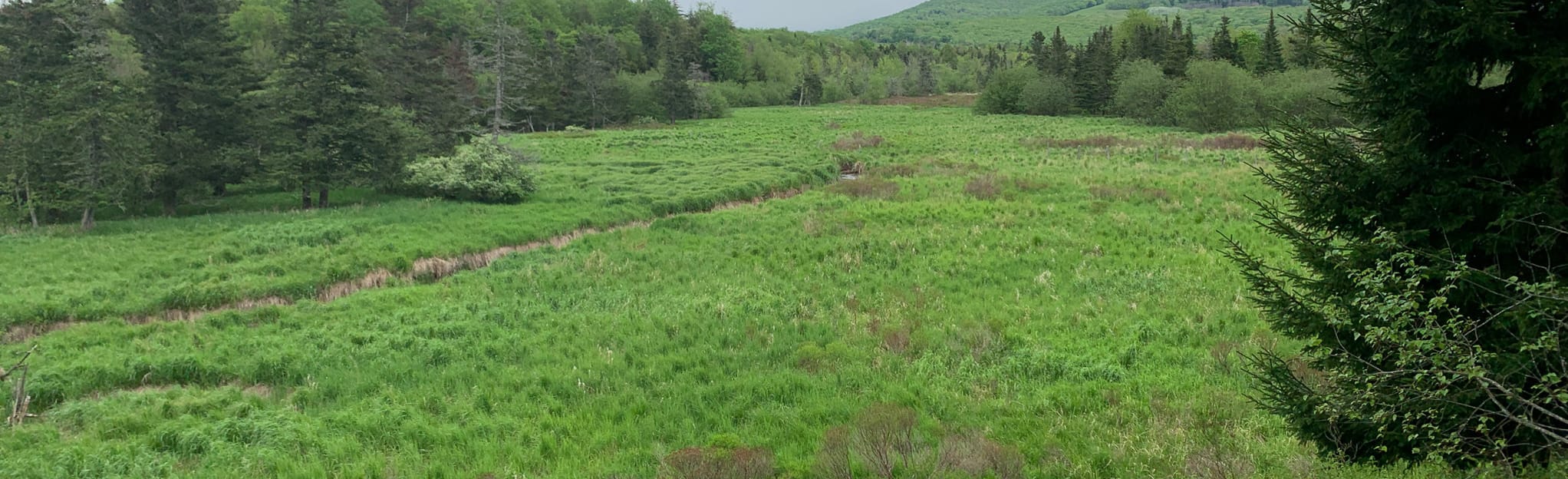 Abe Run, Mill Run, and Deer Run Trail Loop | Map, Guide - West Virginia ...