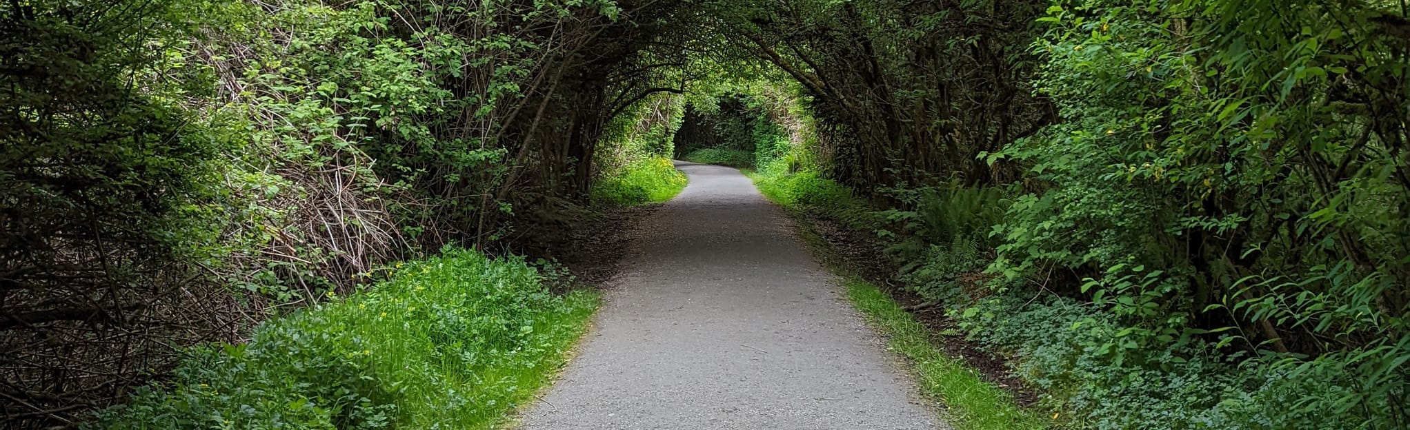 168 Street Access Trail - Serpentine Trail - Hawthorn Trail: 414 foto's ...