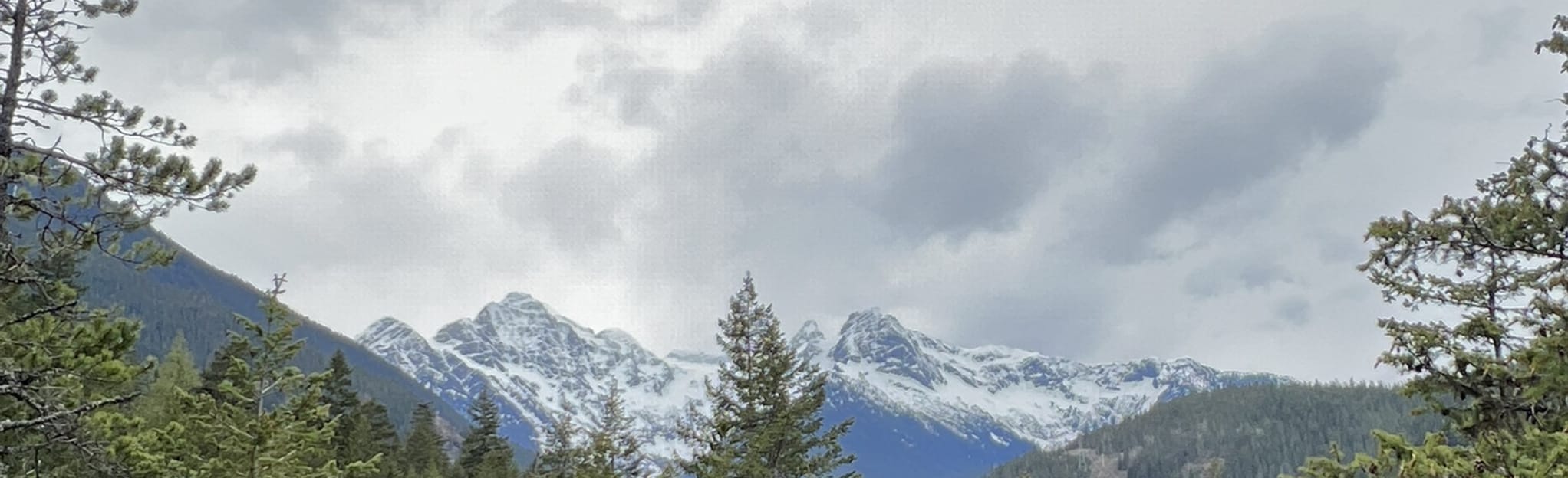 Ross Dam Trail: 575 Reviews, Map - Washington | AllTrails