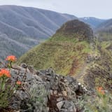 Munra Point via Gorge Trail #400, Oregon - 317 Reviews, Map | AllTrails