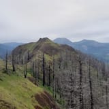 Munra Point via Gorge Trail #400, Oregon - 317 Reviews, Map | AllTrails