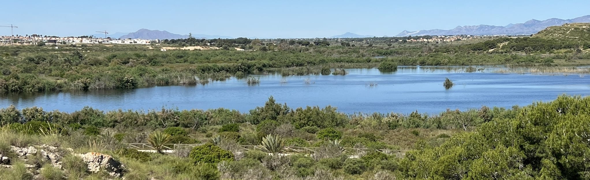 Ruta El Monte y la Loma - Clot de Galvany | Map, Guide - Alicante ...