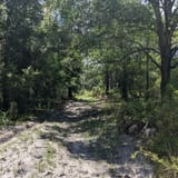 Green Swamp Wilderness Preserve Loop, Florida - 58 Reviews, Map | AllTrails