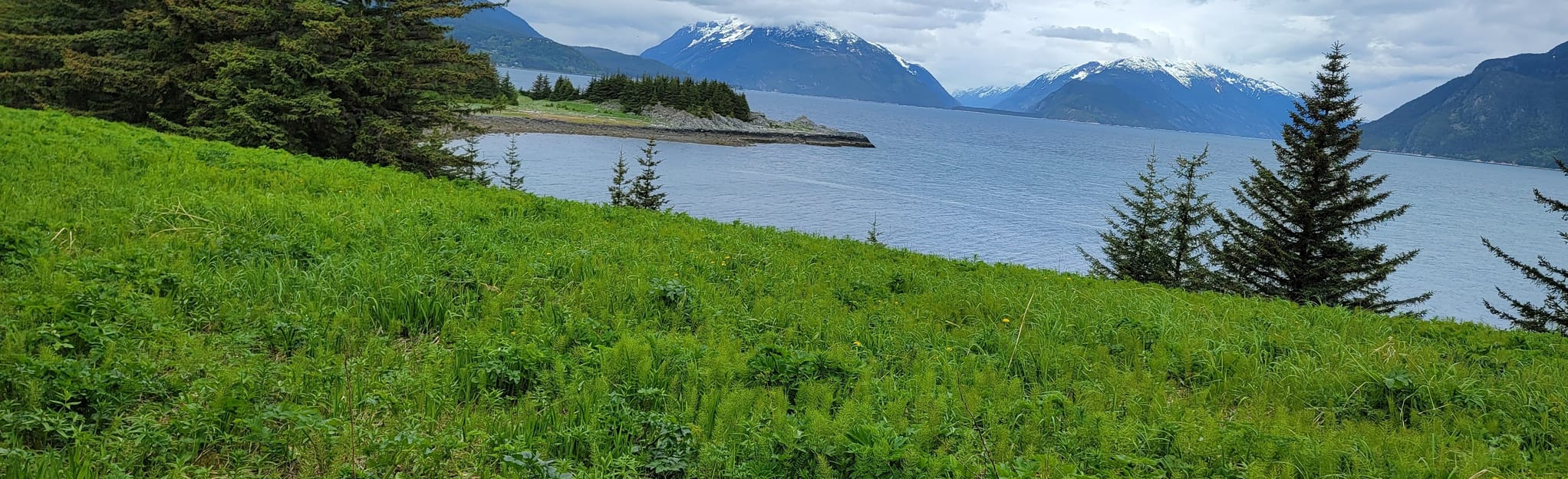 Battery Point Trail, Alaska - 155 Reviews, Map | AllTrails