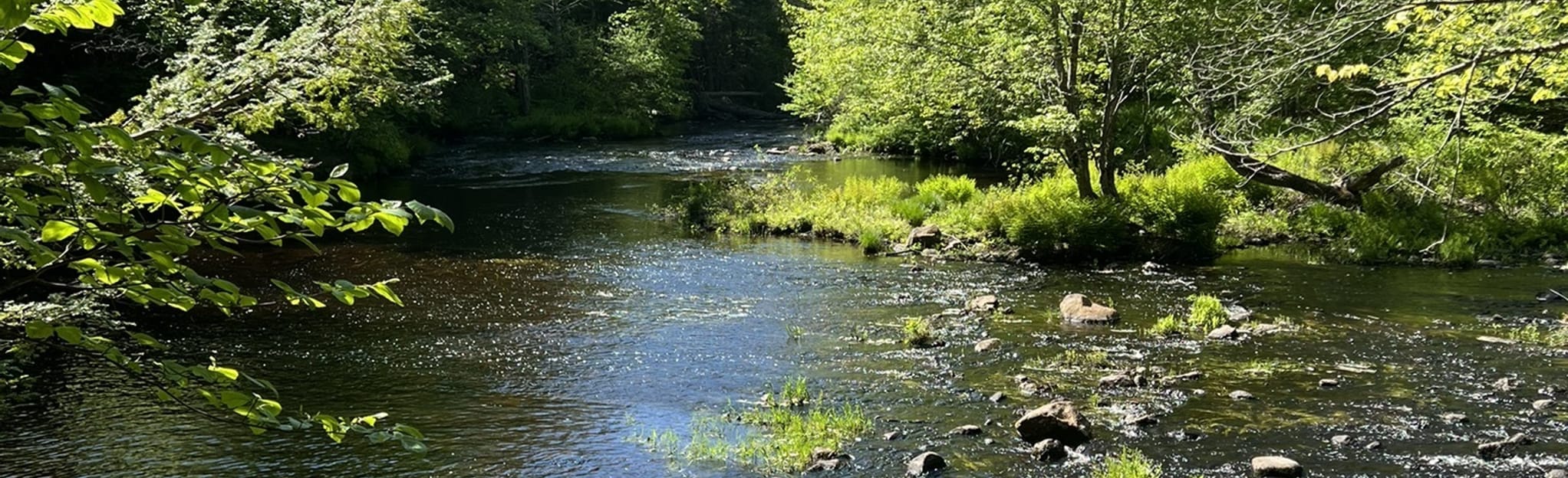 Isinglass and Watson's Way Loop, New Hampshire - 1,027 Reviews, Map ...