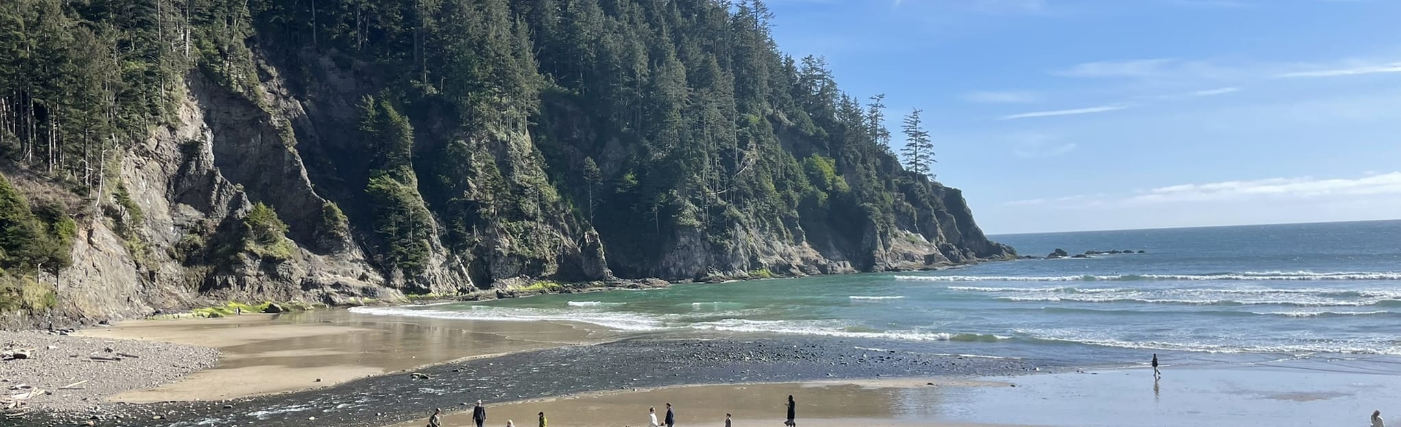 Short Sand Beach Trail - Oregon | AllTrails
