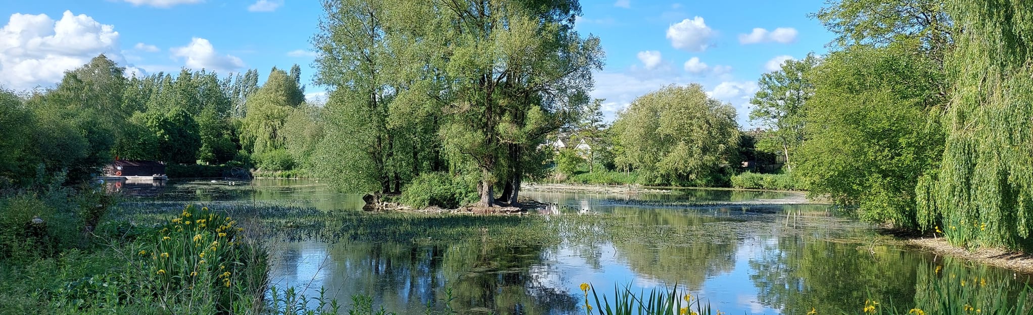 Anton Lakes, Hungerford Lane and Charlton Down, Hampshire, England - 40 ...