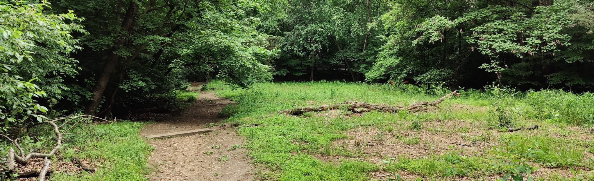 Eastern Ridge via Valley Trail and Piney Branch Trail, District of ...