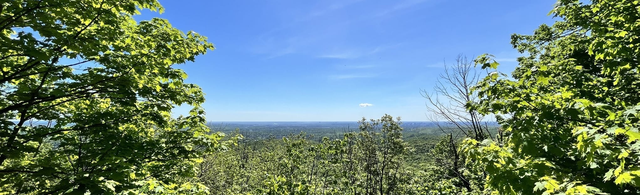 Mount Fortune Wattsford's Lookout Loop: 49 Reviews, Map - Quebec ...