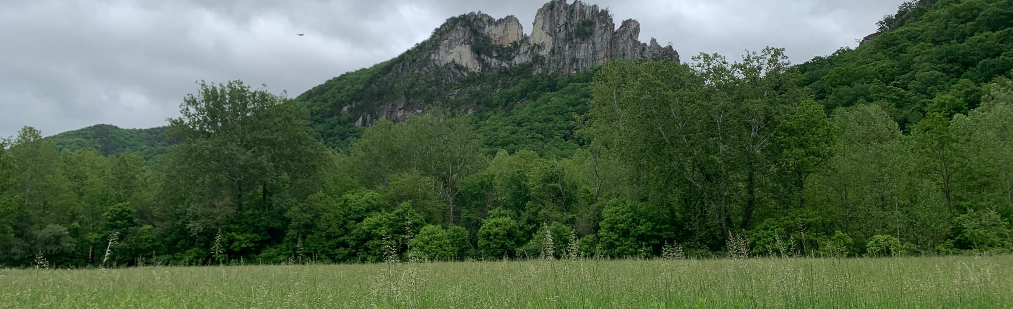 Seneca Rocks Trail: 2233 Reviews, Map - West Virginia | AllTrails