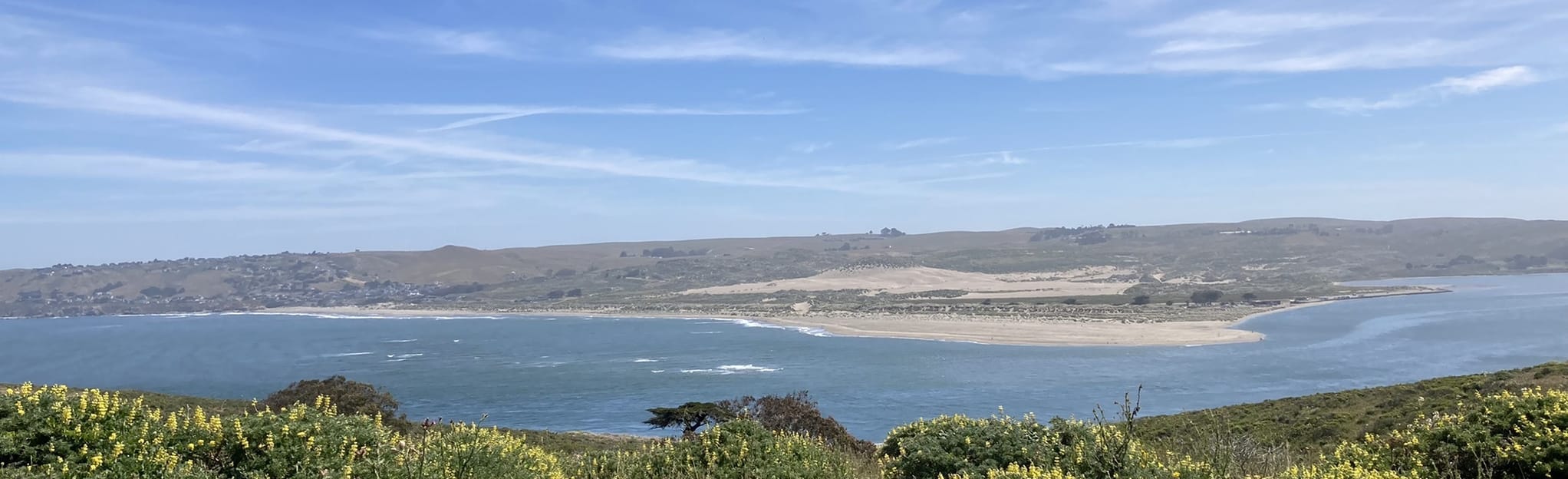 Tomales Point Trail, California - 6,210 Reviews, Map | AllTrails