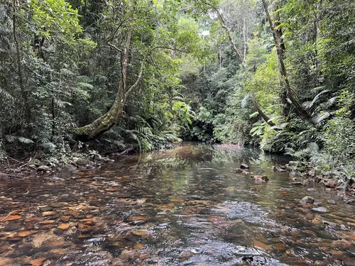 10 Best Hikes and Trails in Tully Falls National Park | AllTrails
