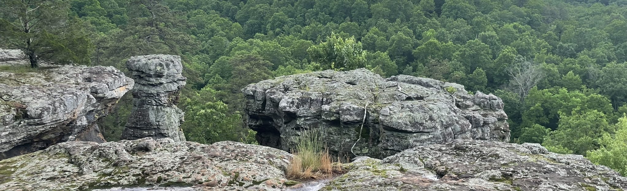Kings Bluff and Pedestal Rocks, Arkansas - 566 Reviews, Map | AllTrails