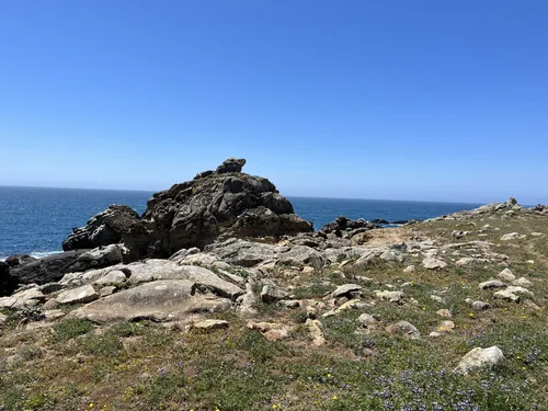 Salt Point State Park: de 10 beste routes om te wandelen | AllTrails