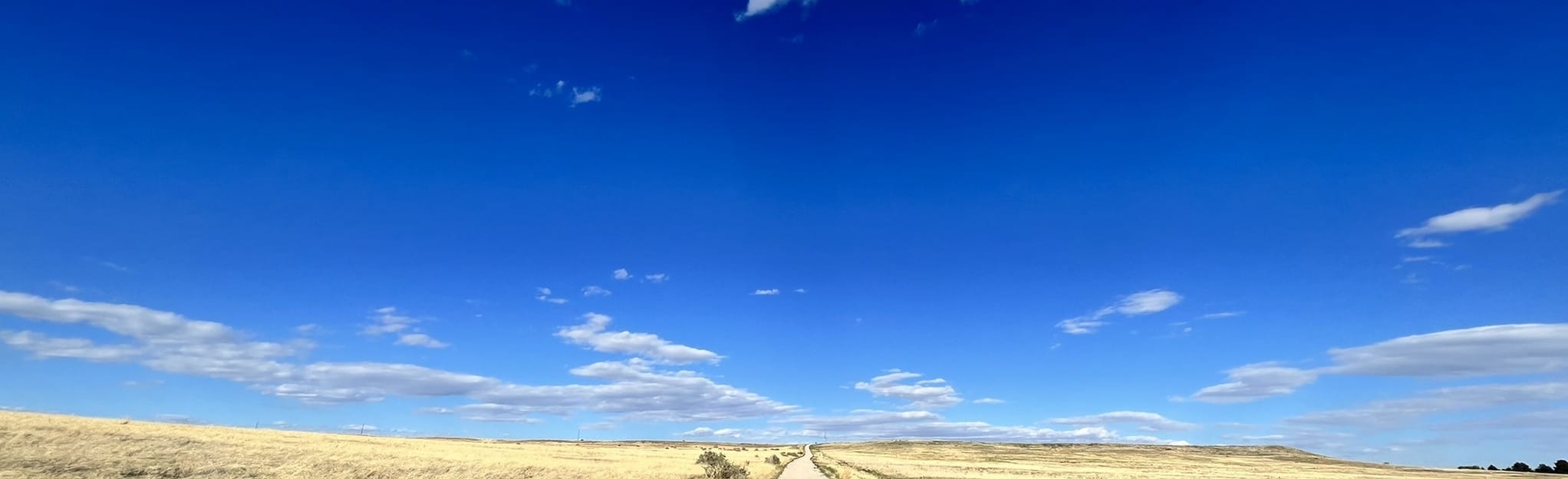 Gunbarrel East Boulder Trail Loop: 87 Reviews, Map - Colorado | AllTrails