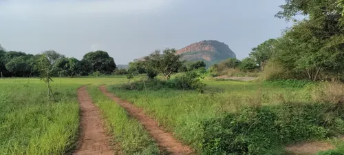 10 Best Trails and Hikes in Ramanagara | AllTrails