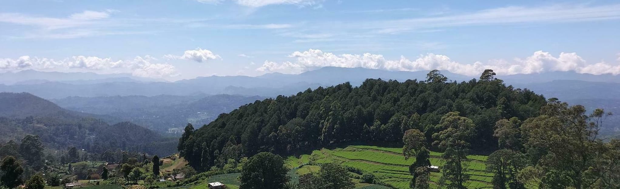 The Pekoe Trail Stage 21: Uda Pussellawa To Kandapola, Nuwara Eliya ...