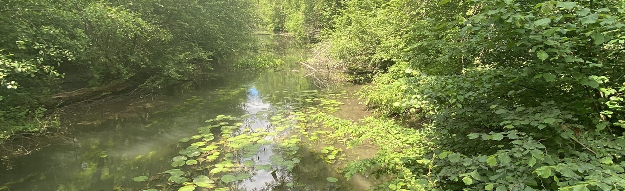 Neuhof and Oberjaegerhof via the Botanical Trail: 11 foto's - Bas-Rhin ...