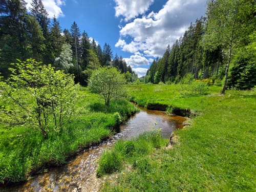 2023 Best 10 Partially Paved Trails in Haute-Sûre Forêt d'Anlier Nature ...