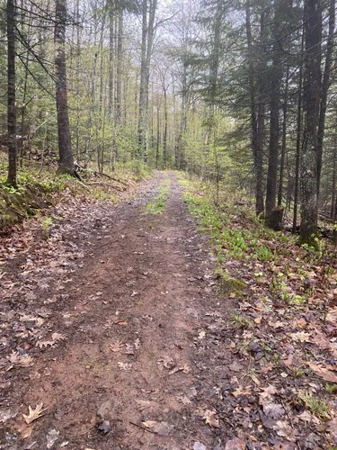 Best Hikes and Trails in Pattison State Park | AllTrails