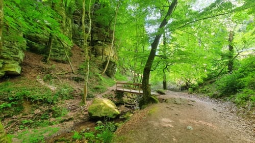 10 Best Trails and Hikes in Luxembourg | AllTrails
