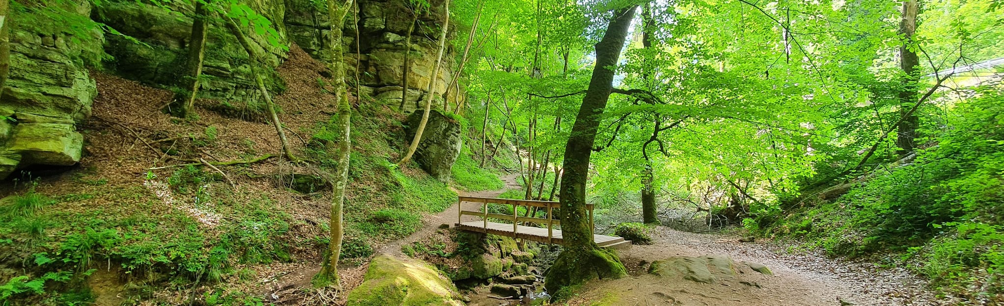 Berdorf Loop, Grevenmacher, Luxembourg - 313 Reviews, Map | AllTrails